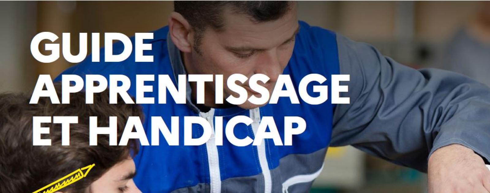 Guide apprentissage et handicap : l'édition 2025 est en ligne | MDPH 77