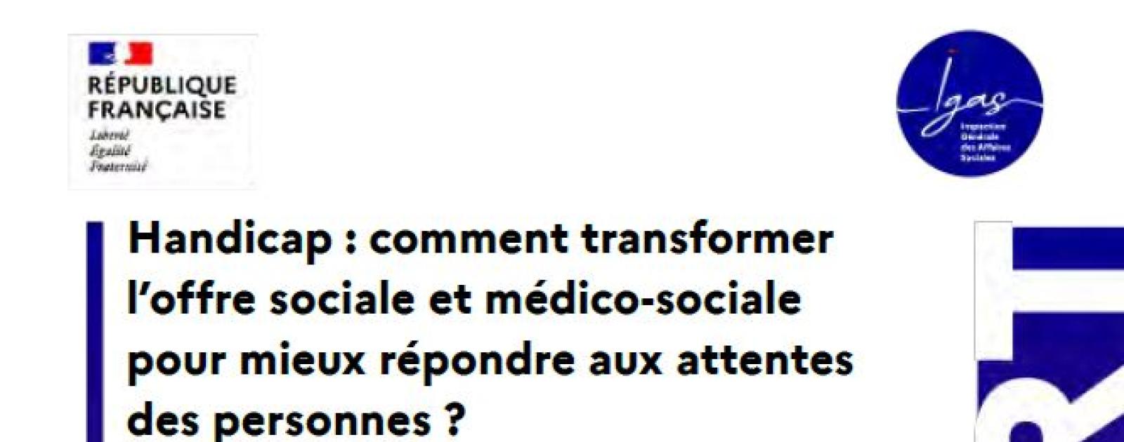 Rapport IGAS 2025 | MDPH 77